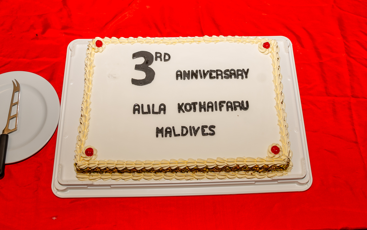 ALI_5251.jpg and 80 other files | Files.fm.